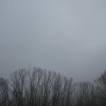 Download Nature Sky PFP