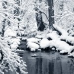 Download Nature Winter PFP