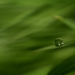 Download Nature Water Drop PFP