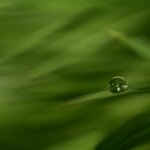Download Nature Water Drop PFP