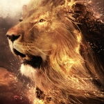 Download Animal Lion PFP