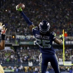 Download Seattle Seahawks Sports PFP