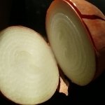 Download Food Onion PFP