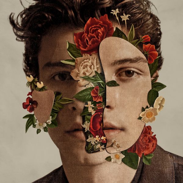 Download Singer Shawn Mendes Music PFP