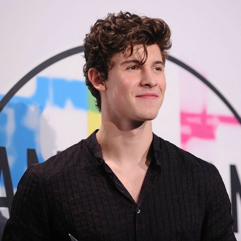 Download Singer Shawn Mendes Music PFP