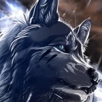 Wolf Pfp