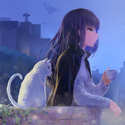 Download Purple Hair Purple Eyes Long Hair Night Cat Anime Girl Anime ...
