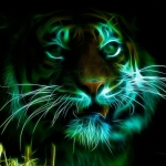 Download Animal Tiger PFP