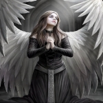 Download Fantasy Angel PFP