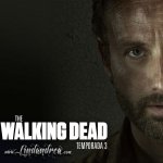 Download TV Show The Walking Dead PFP