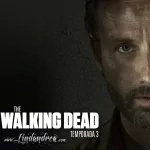 [80+] The Walking Dead PFP