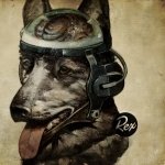 Download Video Game Fallout PFP