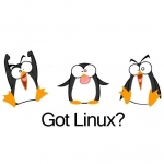 Download Technology Linux PFP