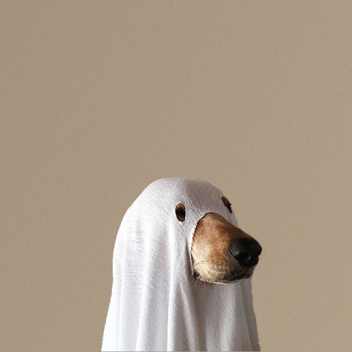 Download Dog Ghost Animal PFP