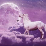 Download Animal Horse PFP