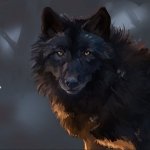 Download Animal Wolf PFP - Avatar Abyss