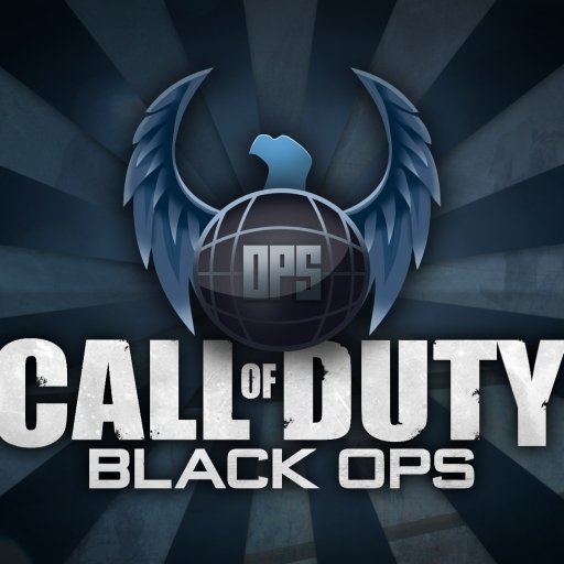 Download Video Game Call Of Duty PFP