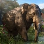 Download Animal Elephant PFP