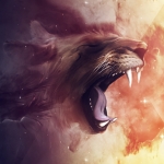 Download Animal Lion PFP