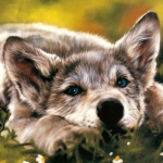 Download Animal Artistic PFP