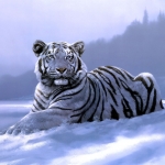 Download Animal Artistic PFP