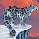 Snow Leopard pfp - Avatar Abyss