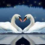 Download Animal Artistic PFP