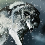 Wolf Pfp