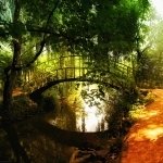 Download Artistic Nature PFP