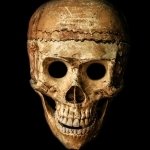 Download Dark Skull PFP