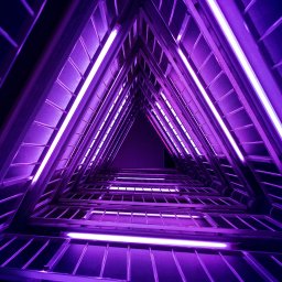 Download Purple Neon Sign Artistic Neon PFP