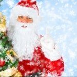 Download Holiday Christmas PFP