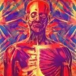 Download Artistic Human PFP