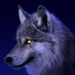 Download Animal Wolf PFP