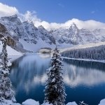 Download Nature Winter PFP