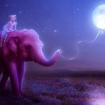 Download Photography Manipulation PFP