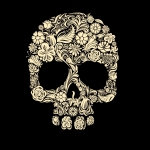 Download Dark Skull PFP