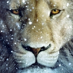 Download Animal Lion PFP