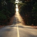 Download Man Made Road PFP