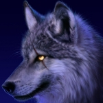 Wolf Pfp