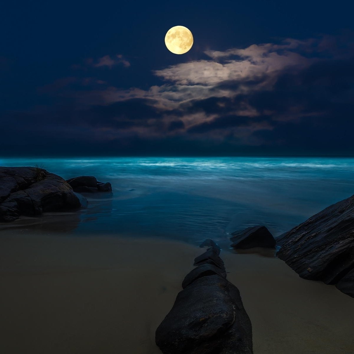 Download Horizon Moon Sea Ocean Night Nature Beach PFP