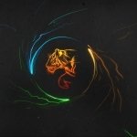 Download Animal Tiger PFP