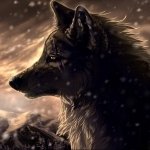 Download Animal Wolf PFP