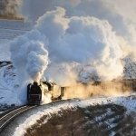 Download Vehicle Train PFP