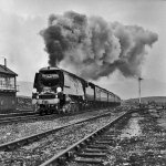 Download Vehicle Train PFP