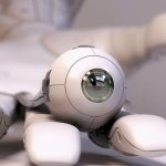 Download Sci Fi Robot PFP