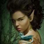Download Fantasy Elf PFP