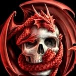 Download Fantasy Dragon PFP - Avatar Abyss