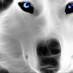 Download Animal Wolf PFP