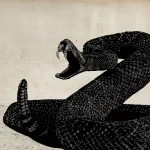 Red Dead Redemption PFP